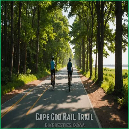 New England Bike Trails: 10 Stunning Routes You Can't Miss in 2024
