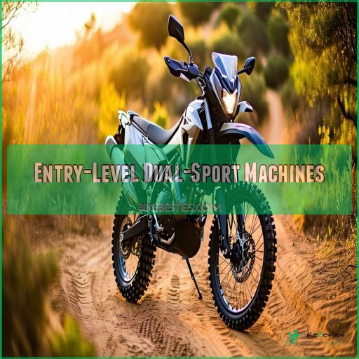 Is a Dual Sport Dirt Bike? Key Differences & Features You Need to Know ...