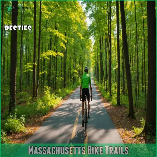 New England Bike Trails: 10 Stunning Routes You Can't Miss in 2024