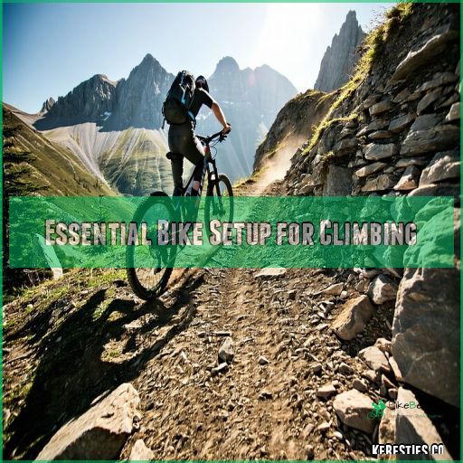 Mountain Bike Climbing Techniques: 7 Pro Tips to Crush Every Hill in 2024