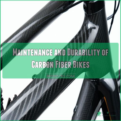 Best Carbon Fiber Road Bikes 2024: Top Picks and Buying Tips