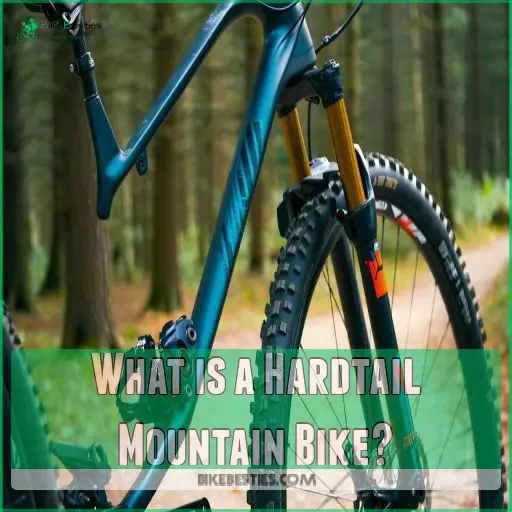 Why Hardtail Mountain Bike? Top Reasons to Ride One