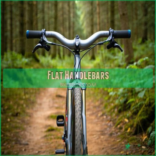Best Bicycle Handlebars for Sitting Upright: Maximize Comfort & Control