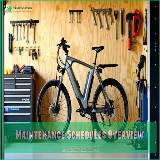 Electric Bike Regular Maintenance Schedule: 2024 Expert Tips & Checklists