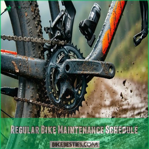 Bike Maintenance for Rough Trails: Essential Tips for Peak Performance