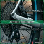 Sprocket on a Bike: Anatomy, Types, Maintenance, and Replacement