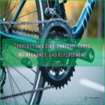 Sprocket on a Bike: Anatomy, Types, Maintenance, and Replacement