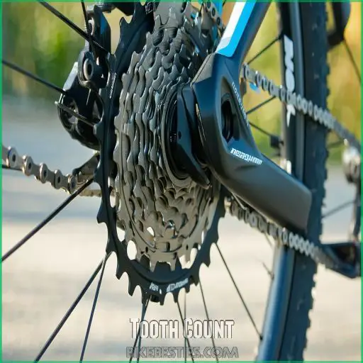 Sprocket on a Bike: Anatomy, Types, Maintenance, and Replacement