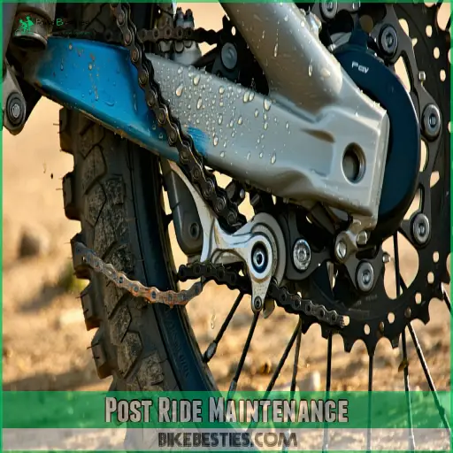 Dirt Bike Maintenance for Beginners: Keep Your Ride Running Like New!