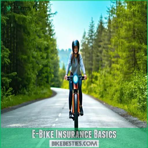 Electric Bike Insurance Requirements: What You MUST Know