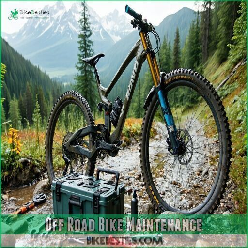 Best Off Road Bikes 2025: Top Picks for Every Rider and Terrain