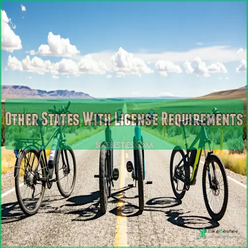 Do Electric Bikes Require a License? A State-by-State Guide for 2025