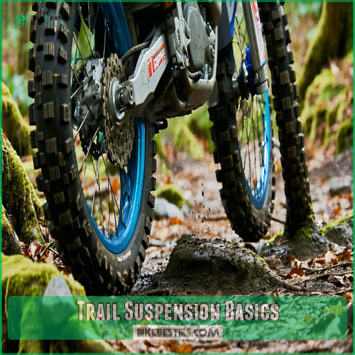 Best Dirt Bike Suspension Setup for Trails: Pro Tips to Master Any ...