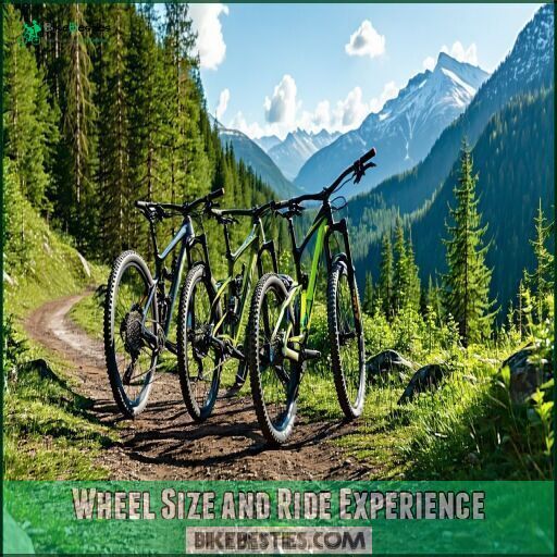 Mountain Bike Wheel Sizes: Which Fits You?