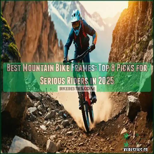 Best Mountain Bike Frames: Top 8 Picks for Serious Riders in 2025