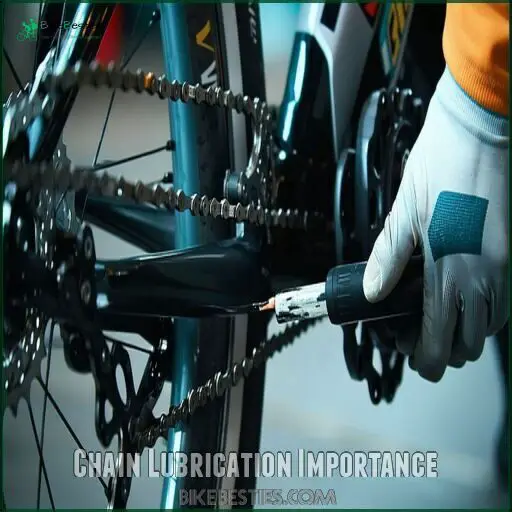 Electric Bike Chain Lubrication Guide: Tips for a Smooth Ride