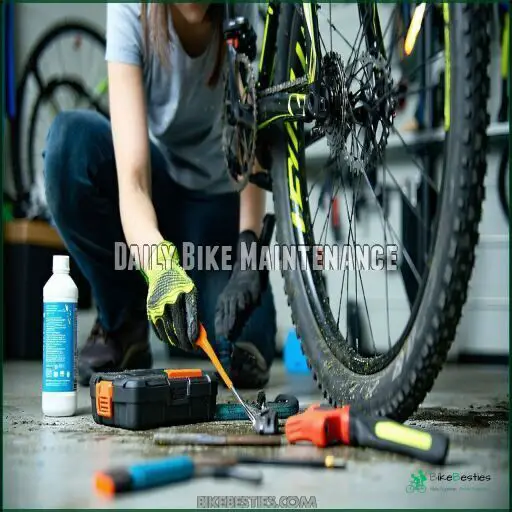 Bike Maintenance Cleaning Schedule: Daily, Weekly, and Annual Checklist