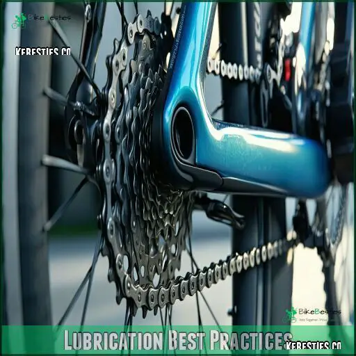 Electric Bike Chain Lubrication Guide: Tips for a Smooth Ride