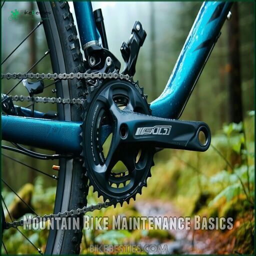 Mountain Bike Gear Maintenance: Pro Tips to Keep Your Ride in Top Shape