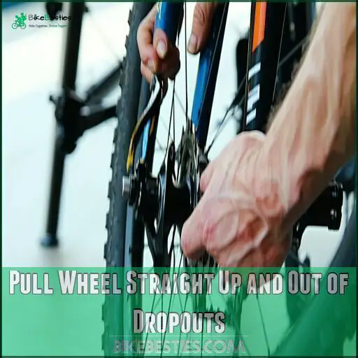 Fix a Tubeless Bike Tire in 5 Minutes: No-Fail Method for Cyclists (2025)