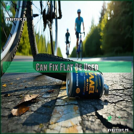 Can Fix a Flat Be Used on Bike Tires? Quick Guide to Repair Solutions