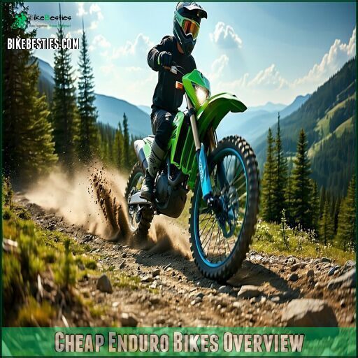 Cheap Enduro Bikes for Sale: 6 Affordable Options Under $2,000 in 2025