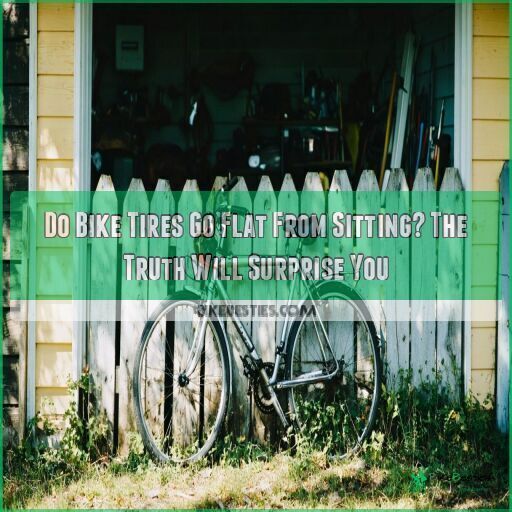 Do Bike Tires Go Flat From Sitting? The Truth Will Surprise You