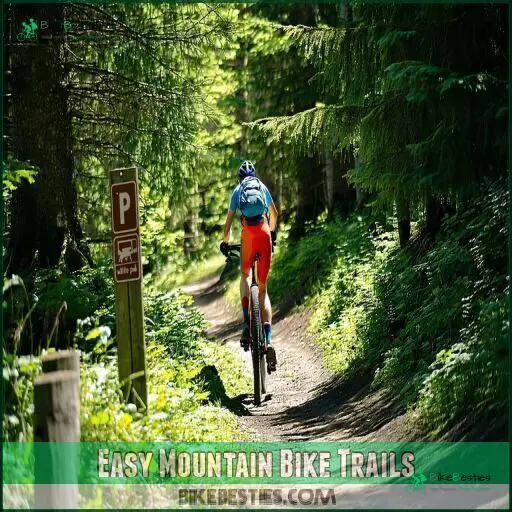 Easy Mountain Bike Trails Nearby: 12 Beginner Routes You Need to Ride Now!