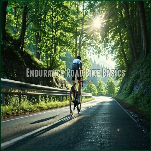 Endurance Road Bike Reviews Comparison: Top 7 Models Tested in 2025