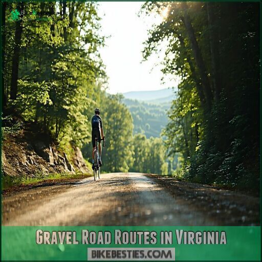 Beginner Friendly Road Cycling Loops Near Me: 8 Scenic Routes for 2025