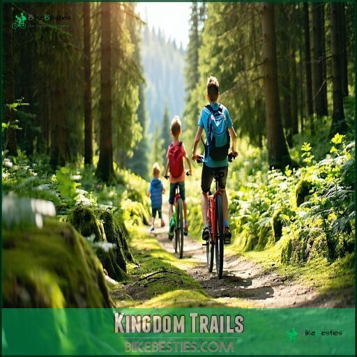 MTB Trails for Families With Kids: Best Rides for Fun and Adventure