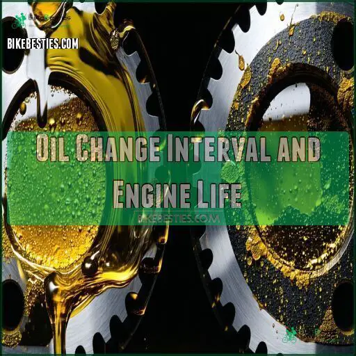 Dirt Bike Oil Change Frequency: How Often Should You Change Your Oil?