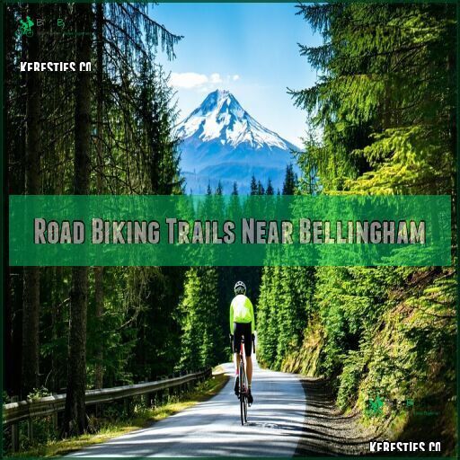 Beginner Friendly Road Cycling Loops Near Me: 8 Scenic Routes for 2025