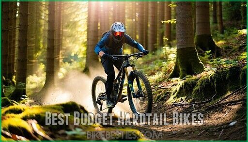 Affordable Hardtail Mountain Bike Brands: Top 10 Budget Rides for 2025