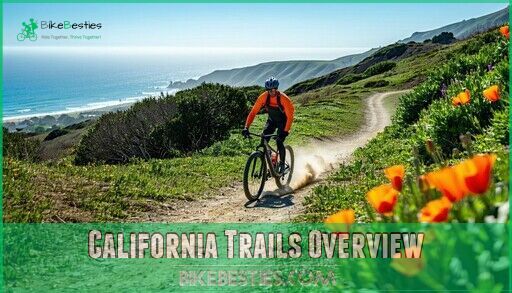Beginner Mountain Bike Trails California: Top Spots for Easy Rides