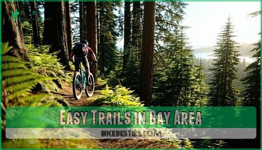 Beginner Mountain Bike Trails California: Top Spots for Easy Rides