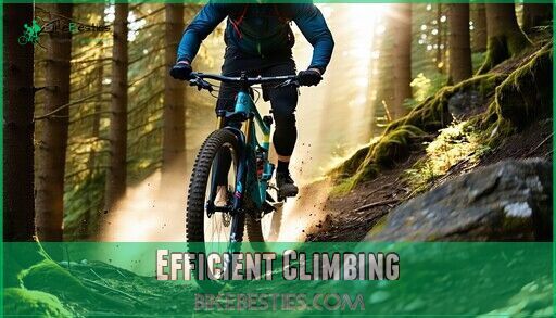 Hardtail Mountain Bike for Cross Country: 2025's Best Picks & Guide
