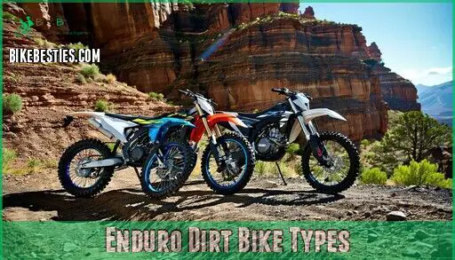 Enduro Dirt Bike Types for Racing: Explore Top Features & Models