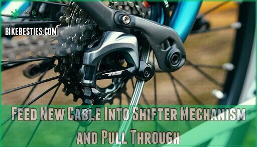 Bicycle Derailleur Cable Replacement: Easy DIY Guide in 5 Steps