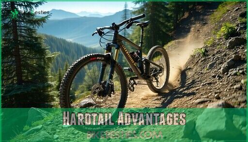 Hardtail Mountain Bike Climbing Ability: Why They Excel Uphill