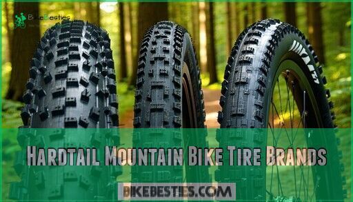 Hardtail Mountain Bike Tire Recommendations: Top Picks for 2025 Trails