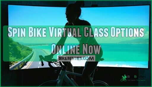 Spin Bike Virtual Class Options Online Now