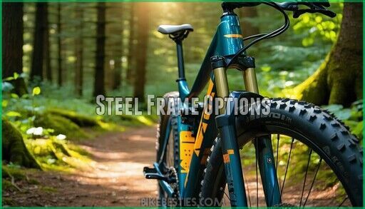 Durable Hardtail Mountain Bike Frame: Top 11 Picks for Every Trail & Budget
