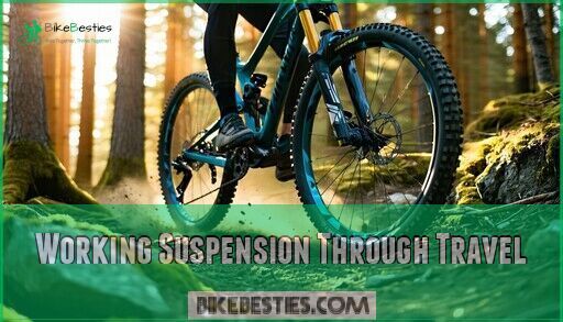 How to Lubricate Mountain Bike Suspension: Complete Guide & Tips