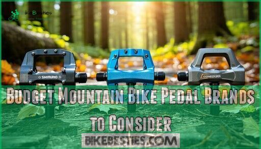 Budget Mountain Bike Pedals: 6 Top Picks for Epic Trails 2025