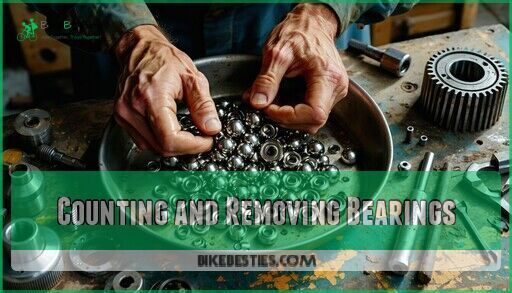Mountain Bike Bearing Maintenance Tutorial: Easy DIY Guide for Riders