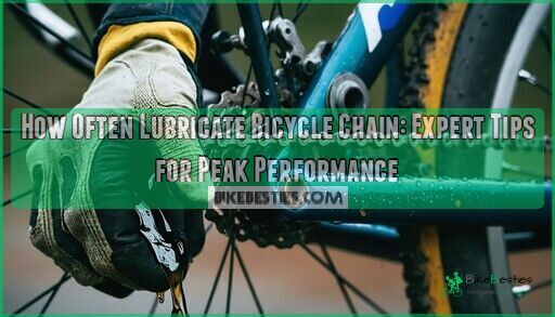 How Often Lubricate Bicycle Chain: Expert Tips for Peak Performance