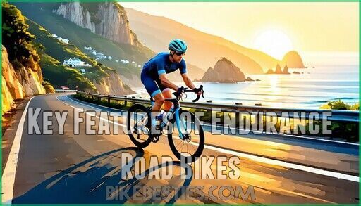 Endurance Road Bikes for Comfort and Performance: Top Picks 2024