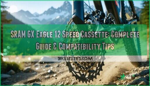 SRAM GX Eagle 12 Speed Cassette: Complete Guide & Compatibility Tips