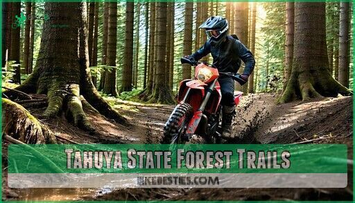 Scenic Dirt Bike Trails Washington State: 15 Epic Rides You Must Try